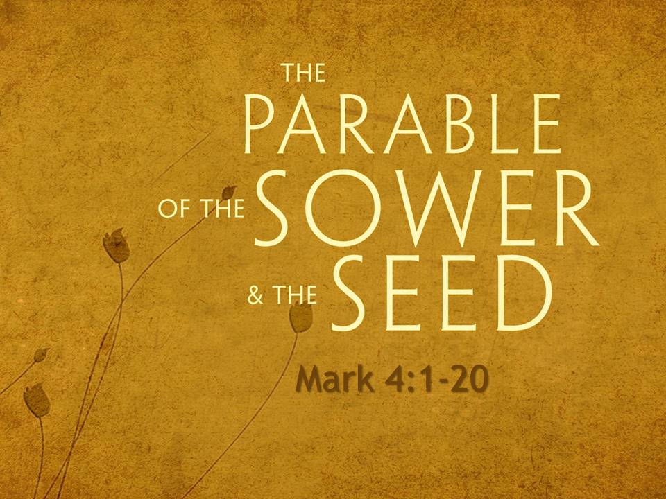The Parable of the Sower - Pine City Evangelical Free Church